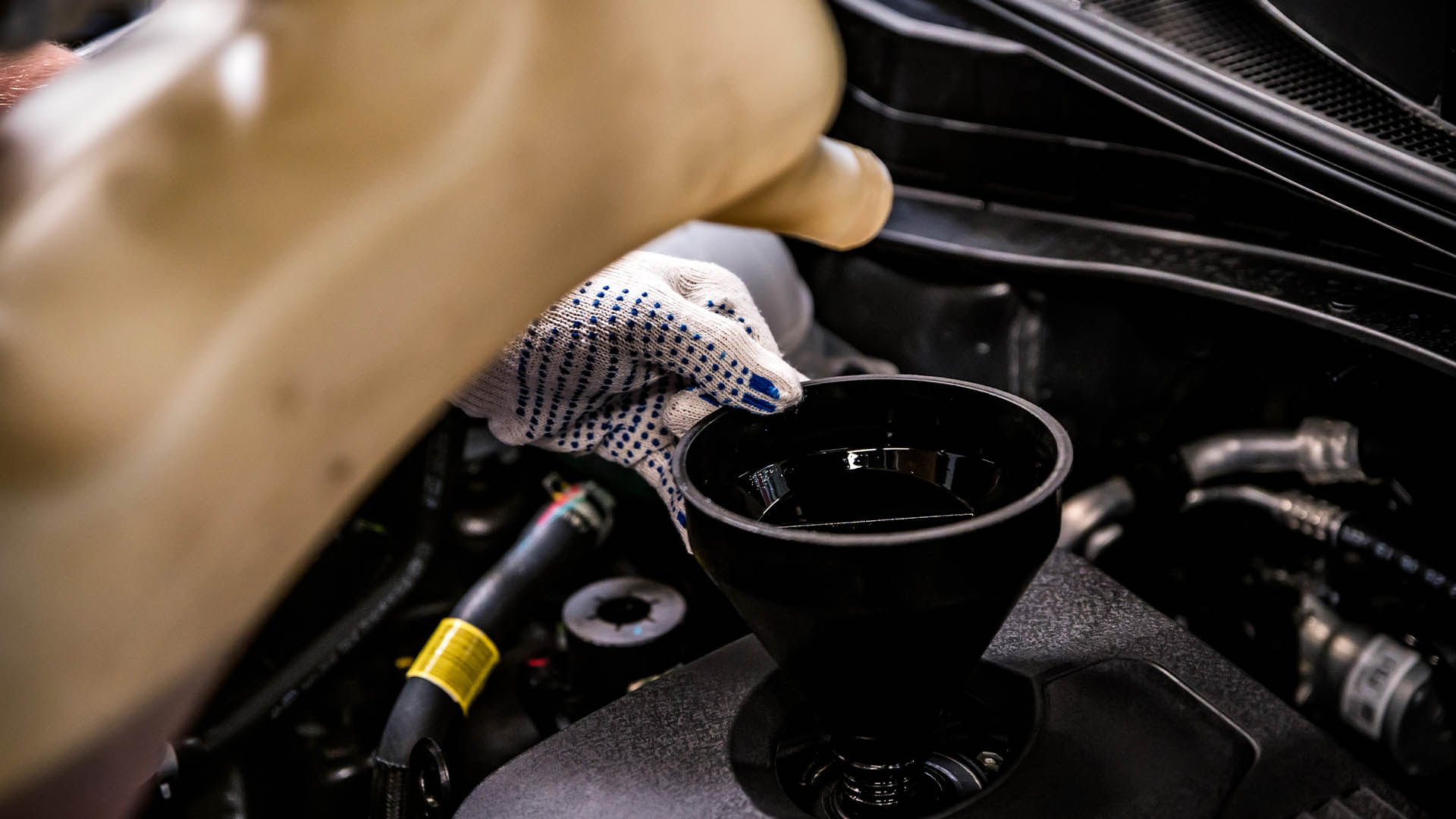 Auto Oil Change Center in Plano | Speedy Collision Repair